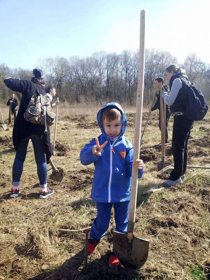 plantare-copaci (9) | Critic Arad