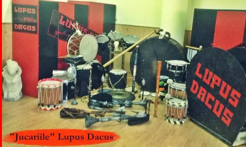 instrumente_lupus_dacus | Critic Arad