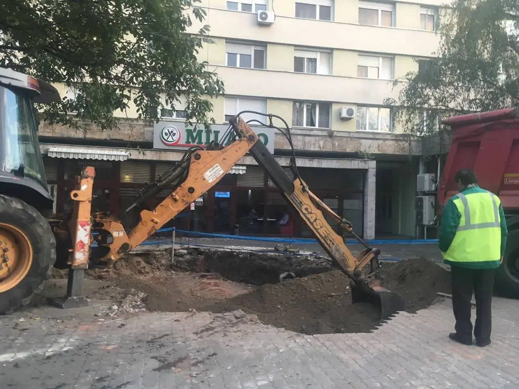 groapa | Critic Arad