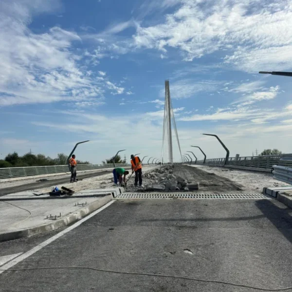 ARAD | Plimbare cu mașina, dus-întors, pe podul hobanat