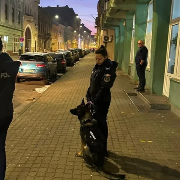 Deranjați „la cafeluță” | Peste 80 de elevi care absentau nejustificat ...